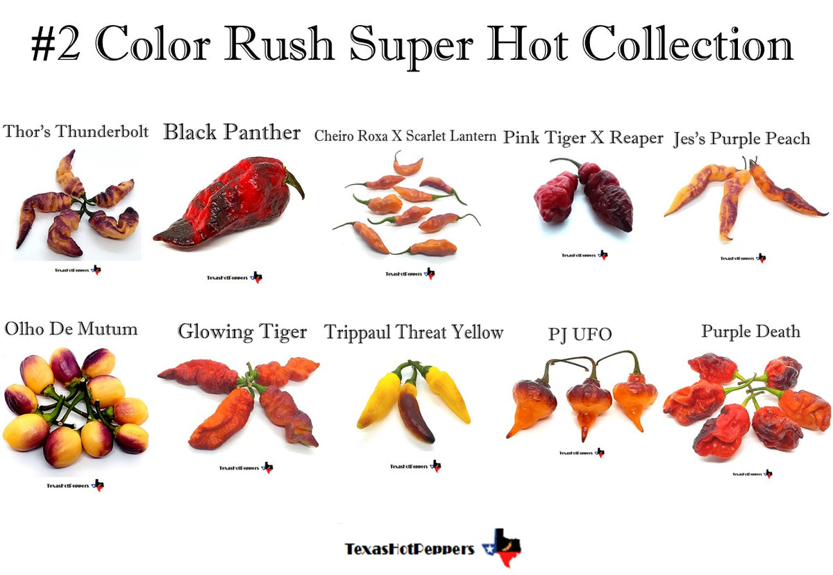 Color Rush Super Hot Seed Collections - 3 different collections of 10 – Texas Hot Peppers