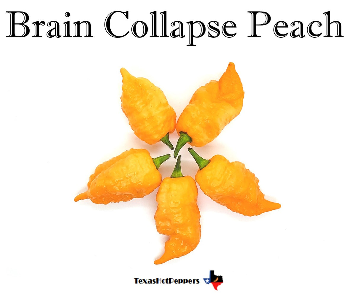 Brain Collapse Peach – Texas Hot Peppers
