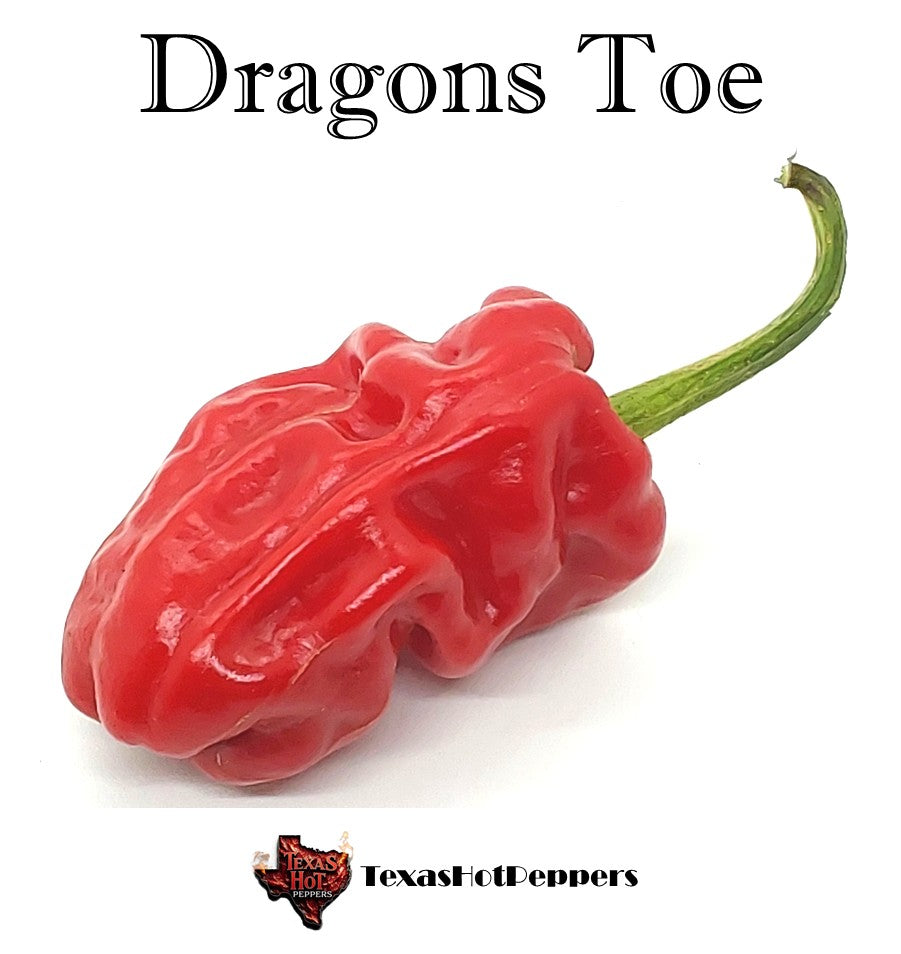 Dragons Toe – Texas Hot Peppers