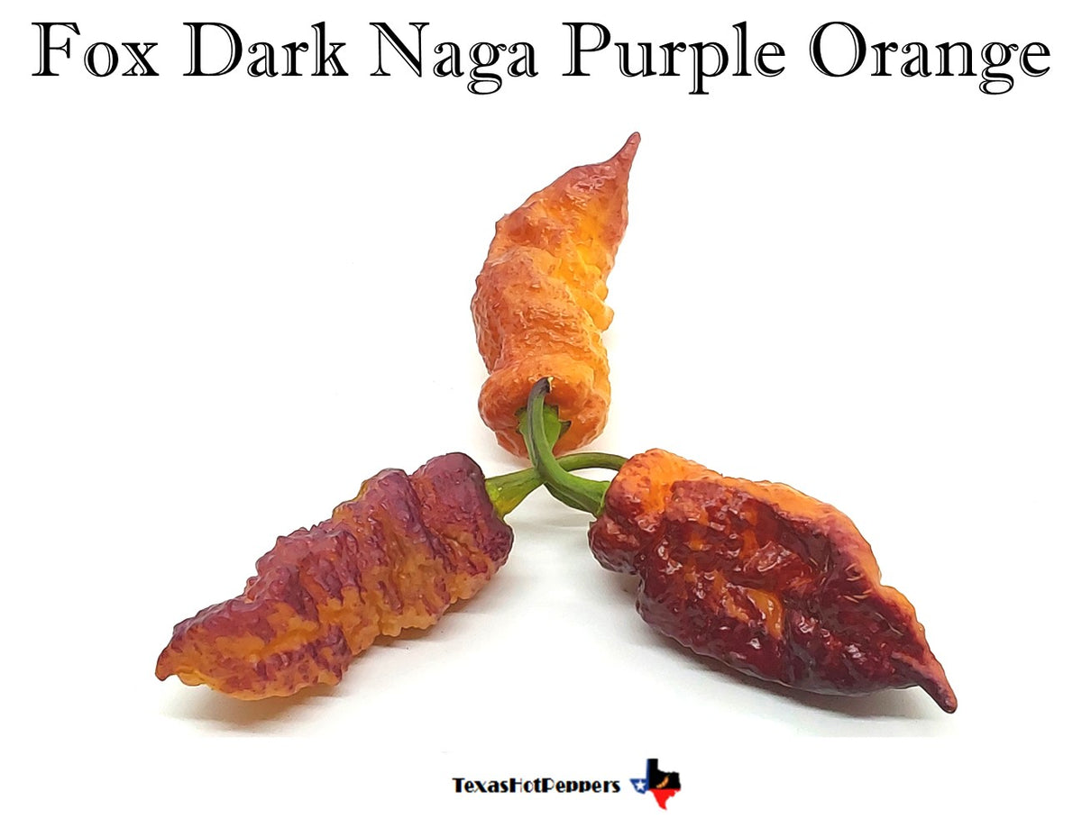 Fox Dark Naga Purple Orange – Texas Hot Peppers