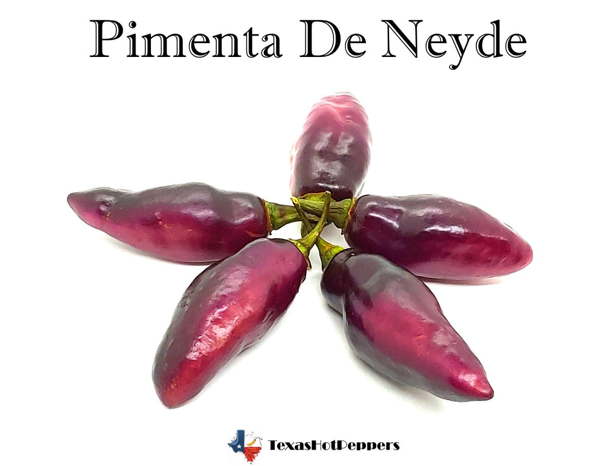 Pimenta De Neyde – Texas Hot Peppers