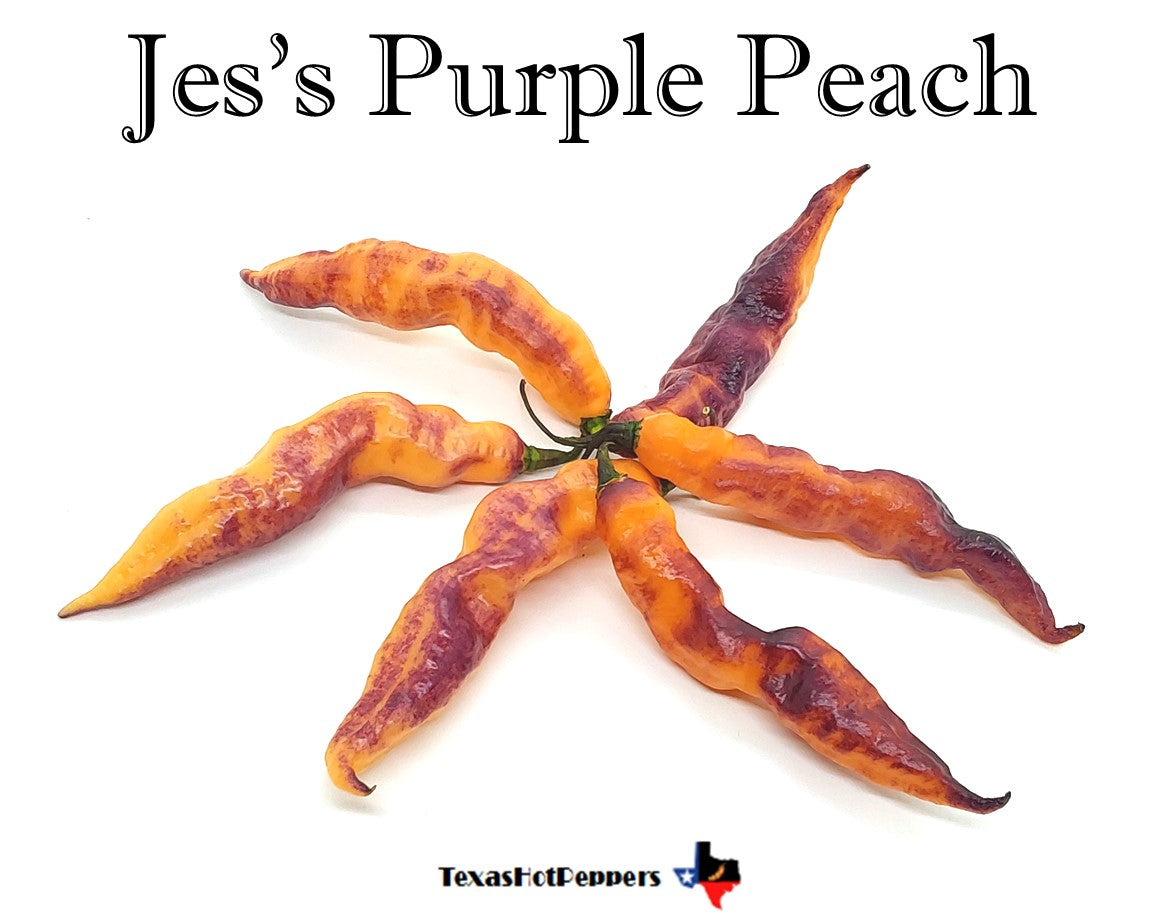 Jes's Purple Peach – Texas Hot Peppers