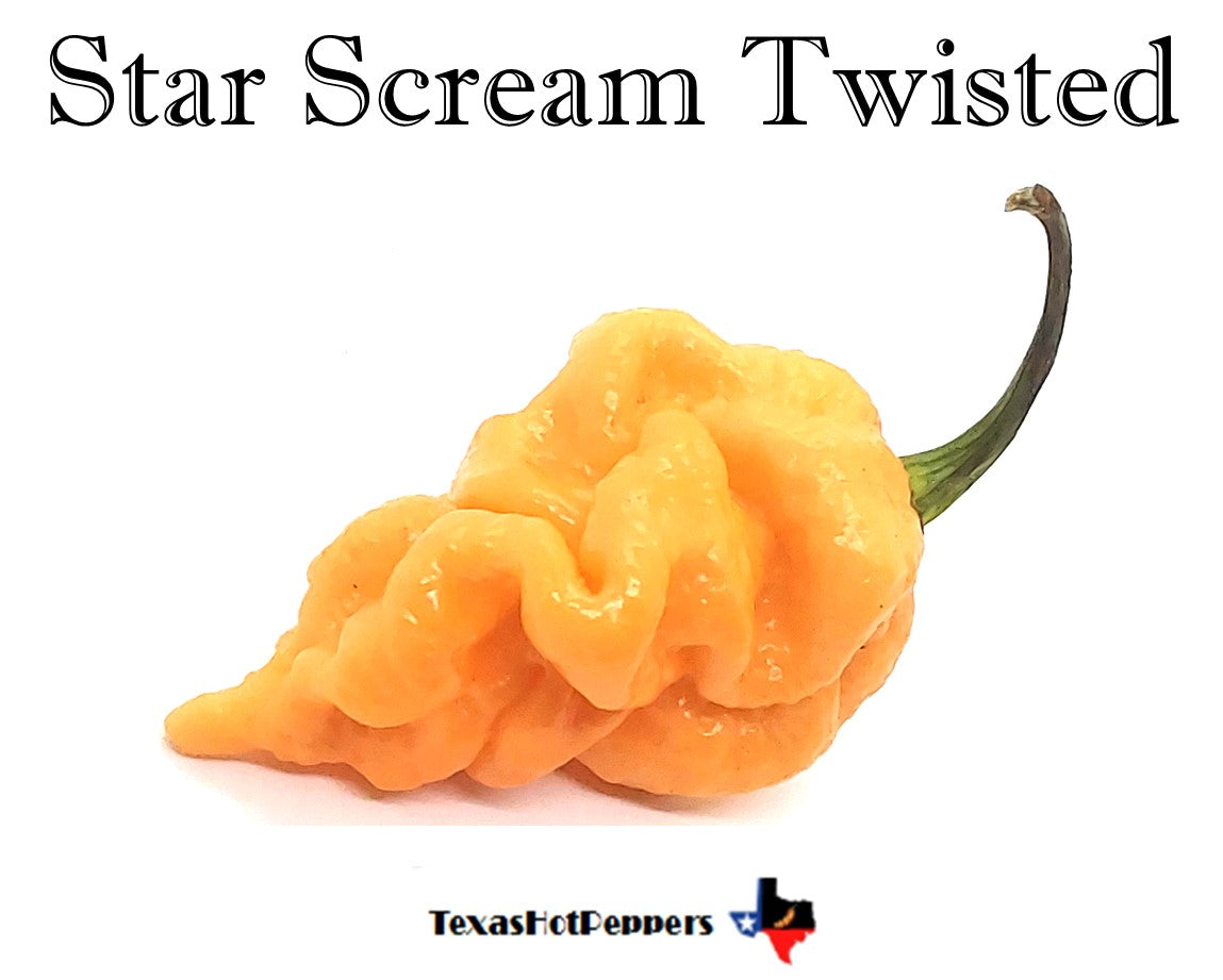 Star Scream Twisted – Texas Hot Peppers