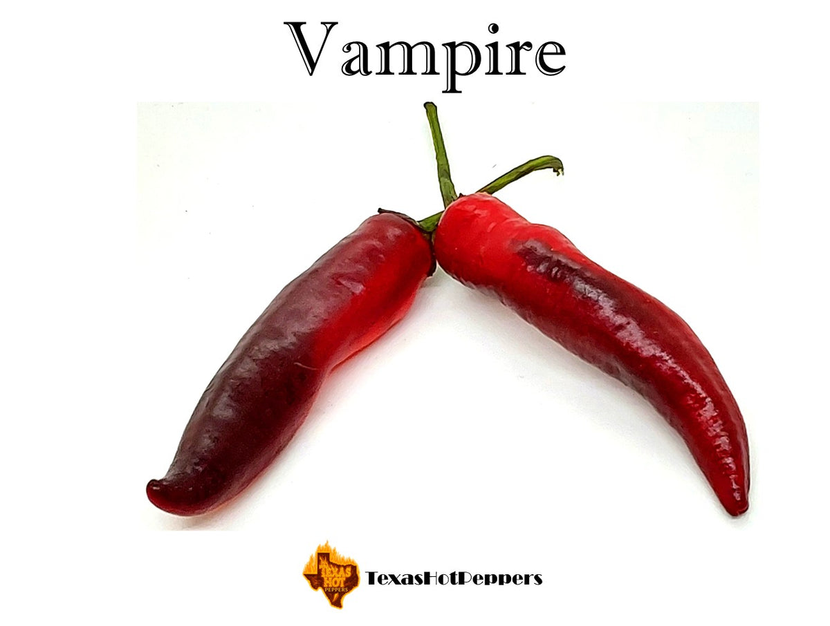 Vampire – Texas Hot Peppers