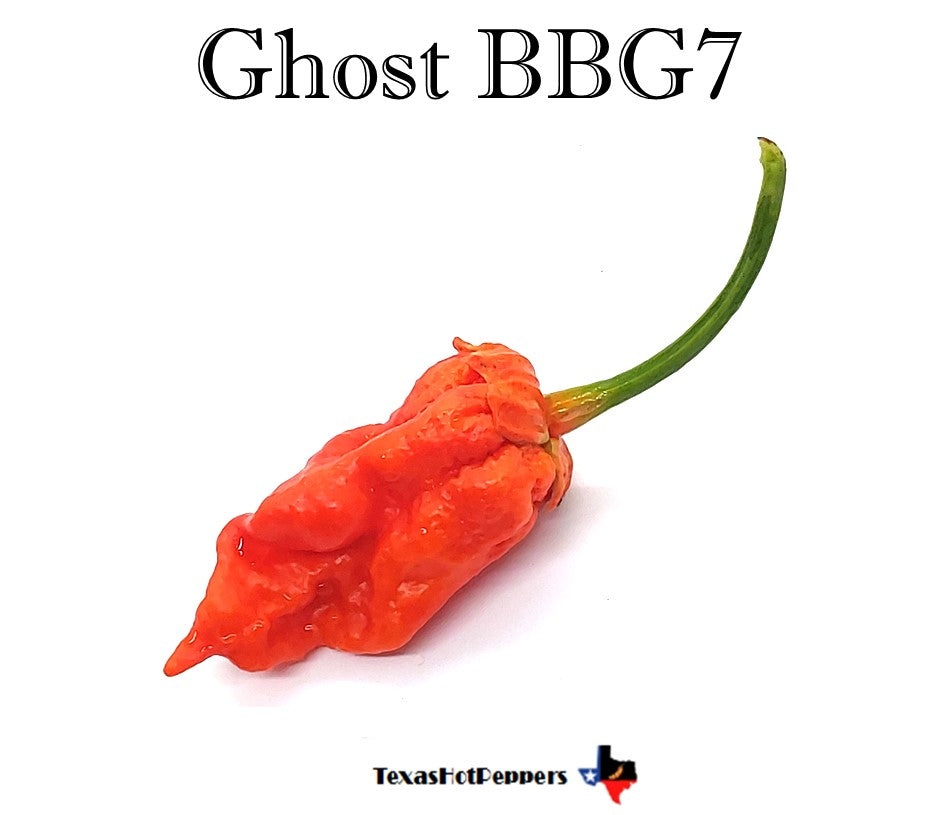 Ghost BBG7 – Texas Hot Peppers