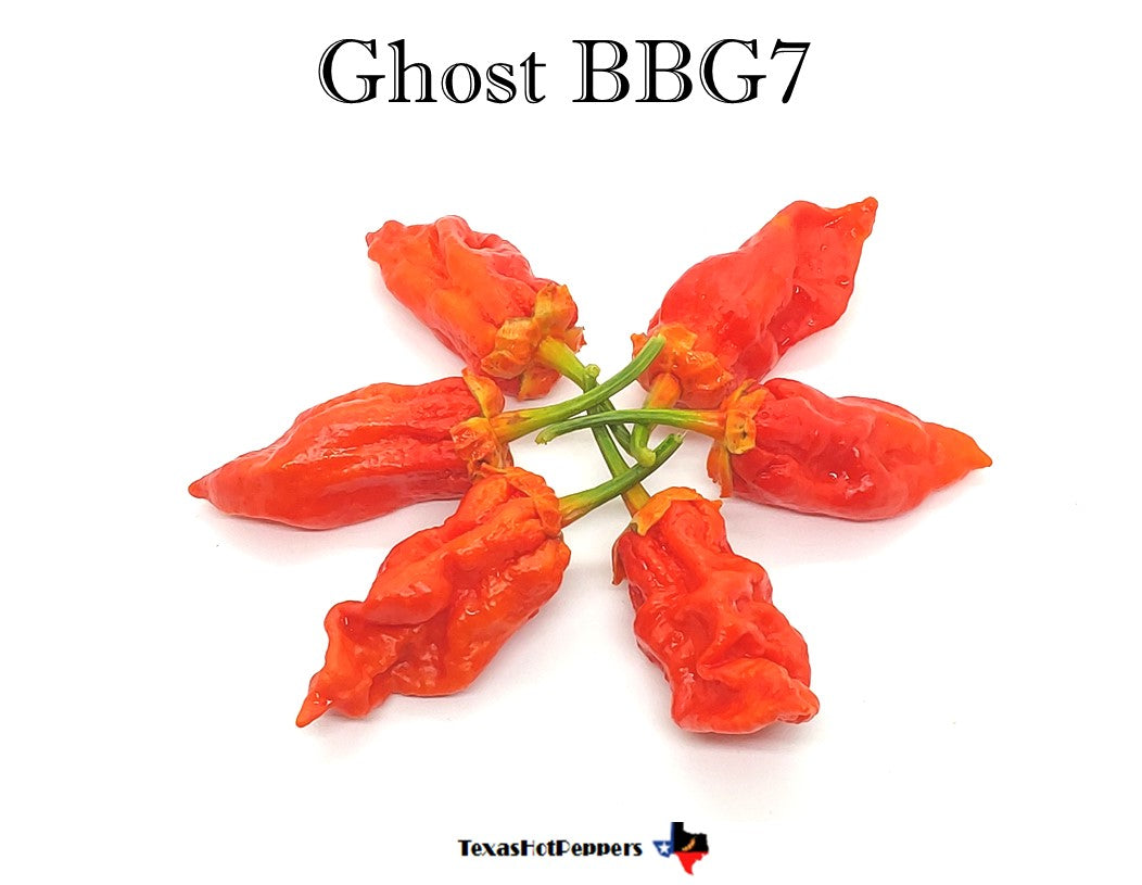 Ghost BBG7 – Texas Hot Peppers