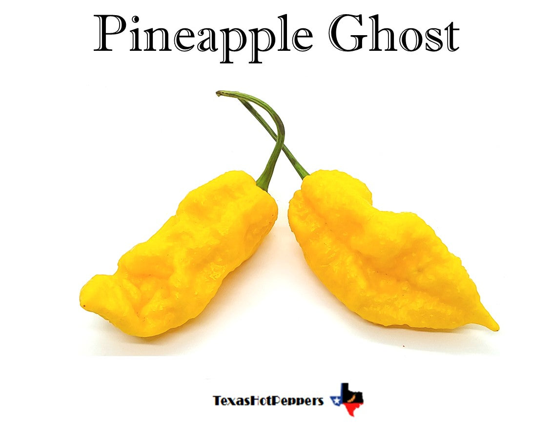 Pineapple Ghost – Texas Hot Peppers