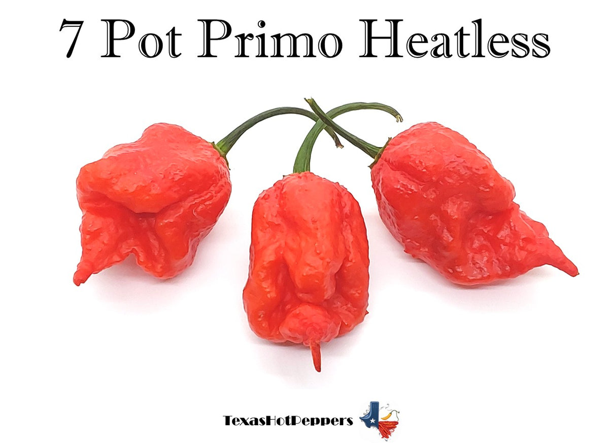 7 Pot Primo Heatless – Texas Hot Peppers