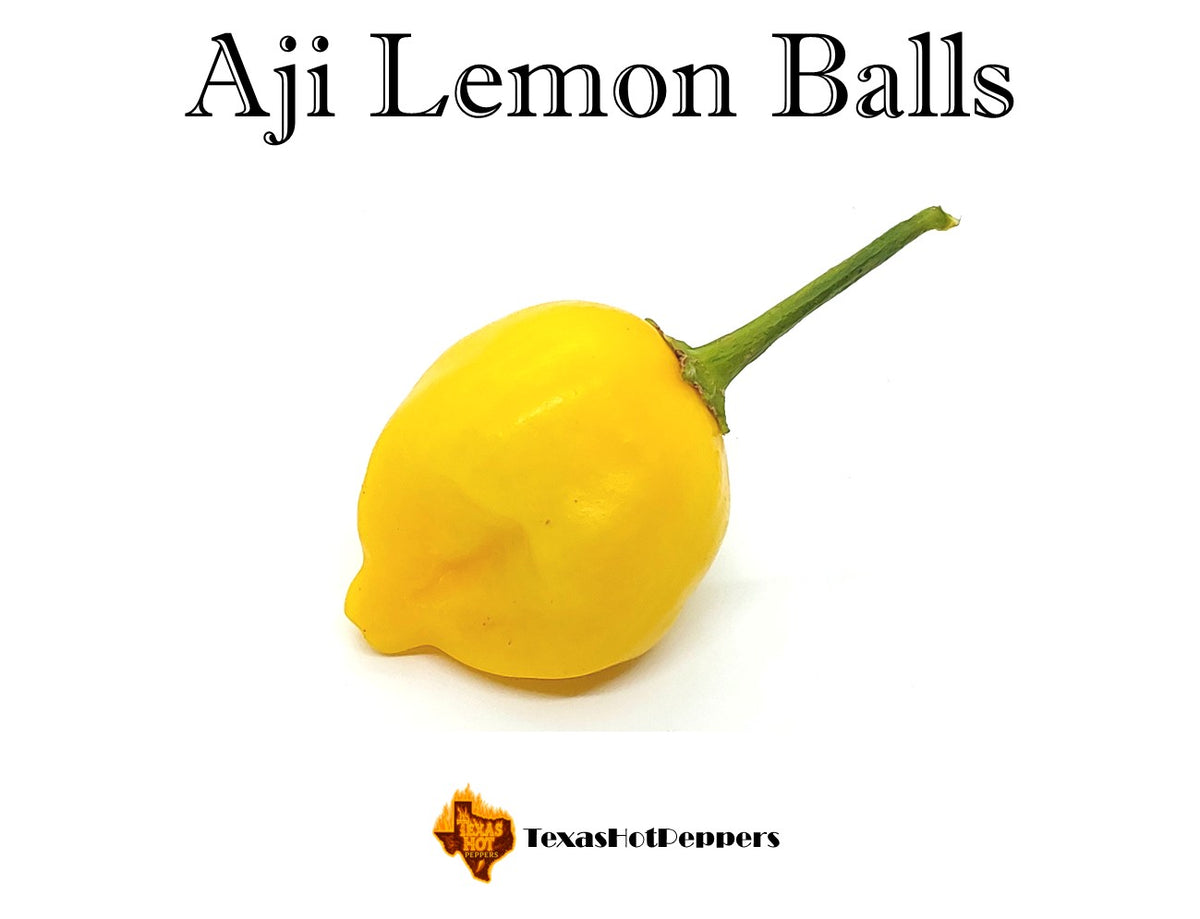 Aji Lemon Balls – Texas Hot Peppers