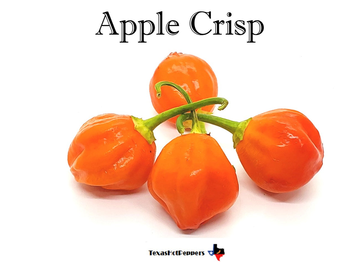 Apple Crisp – Texas Hot Peppers