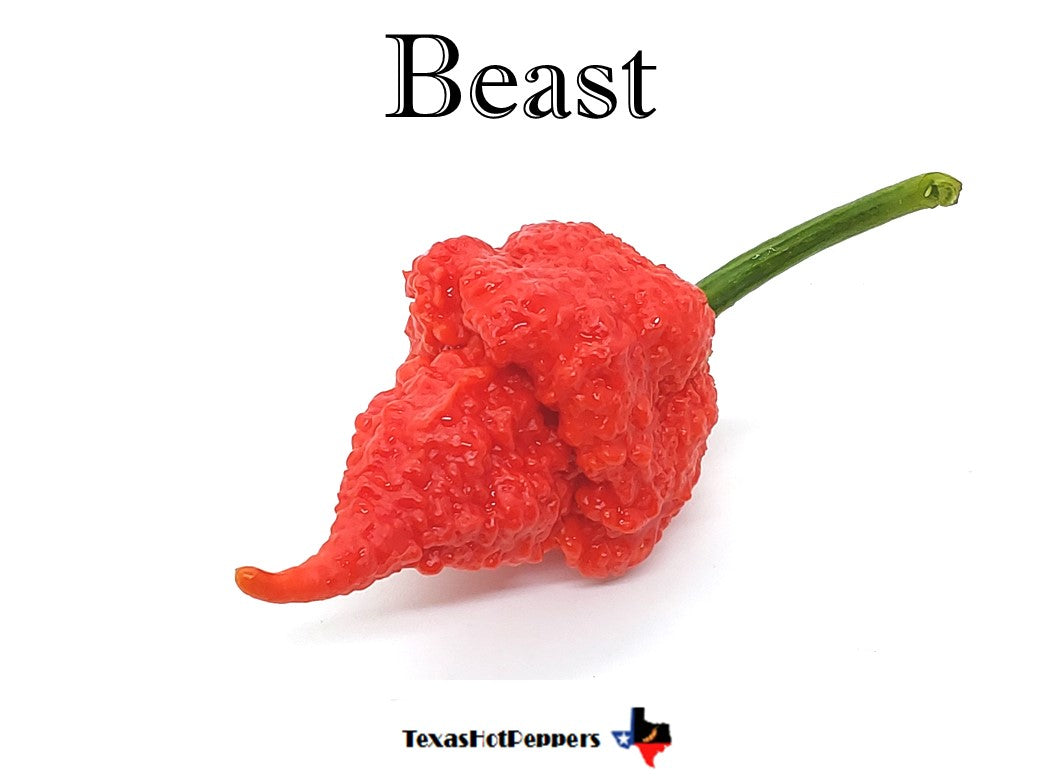 Beast – Texas Hot Peppers