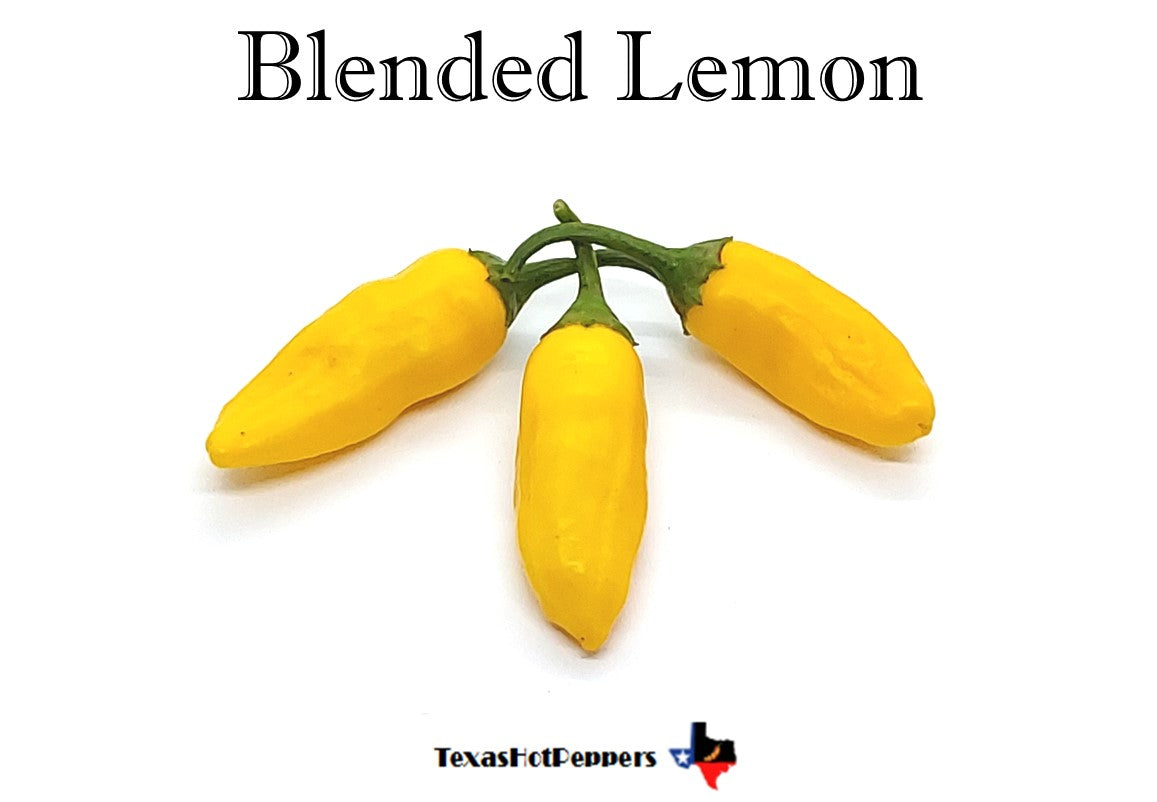 Blended Lemon – Texas Hot Peppers