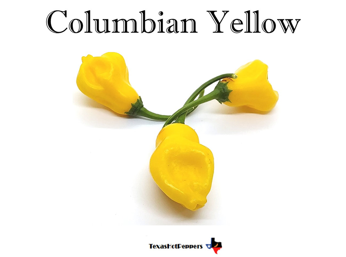 Columbian Yellow – Texas Hot Peppers