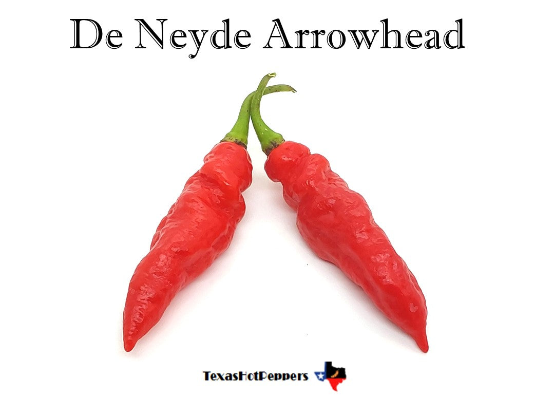 De Neyde Arrowhead – Texas Hot Peppers