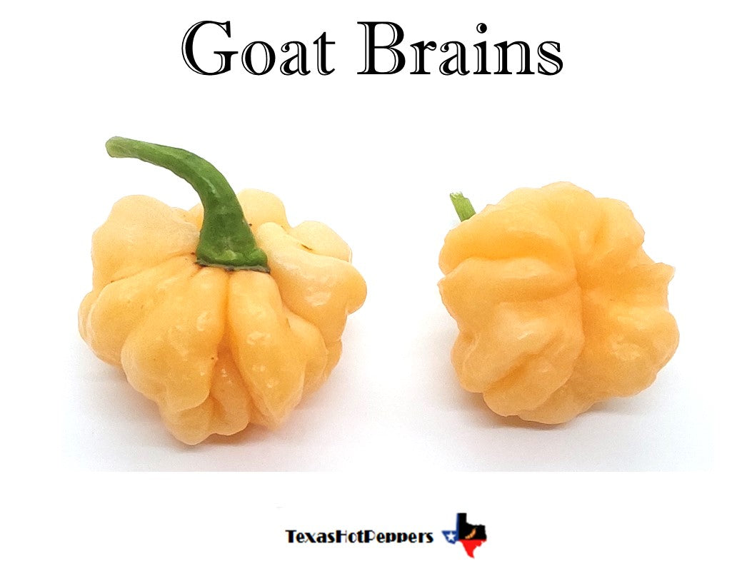 Goat Brains – Texas Hot Peppers