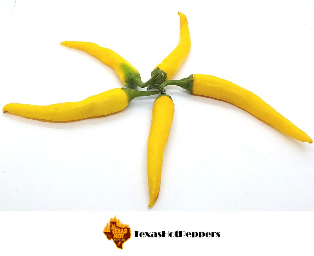 Golden Cayenne – Texas Hot Peppers
