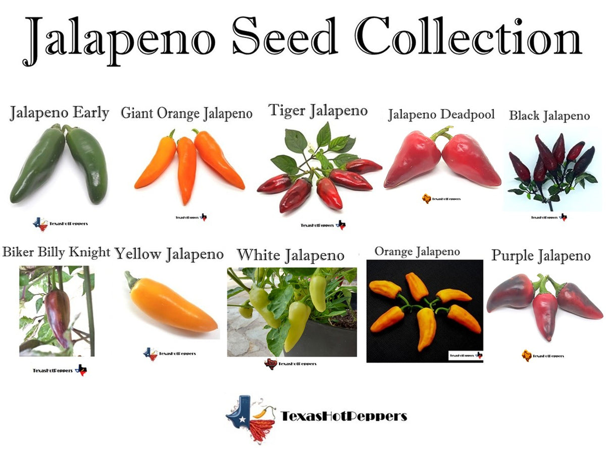 Jalapeno Variety Collection - 10 Different Jalapeno types + 4 Bonus Pa ...
