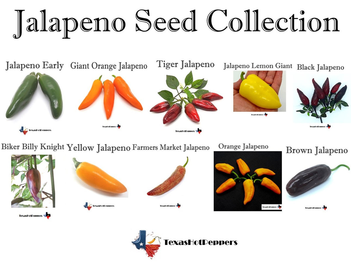Jalapeno Variety Collection - 10 Different Jalapeno types + 5 Bonus Pa ...