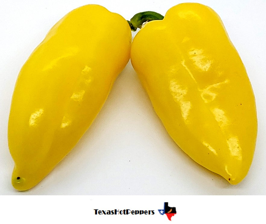 Jalapeno Lemon Giant – Texas Hot Peppers