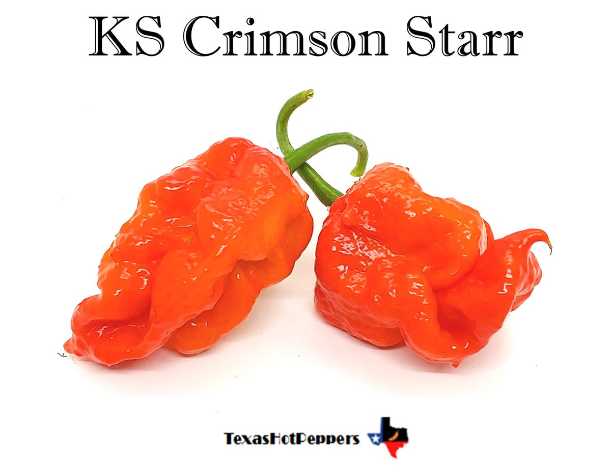 #2 KS Variety Seed Collection - 10 Different Varieties – Texas Hot Peppers