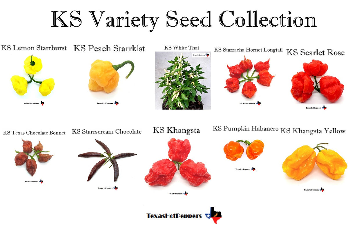 #1 KS Variety Seed Collection - 10 Different Varieties – Texas Hot Peppers