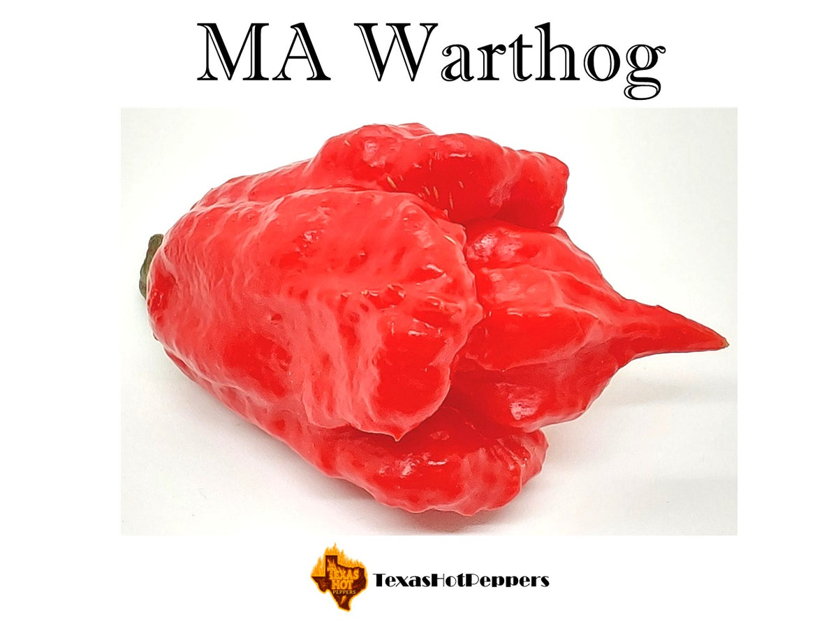 MA Warthog – Texas Hot Peppers