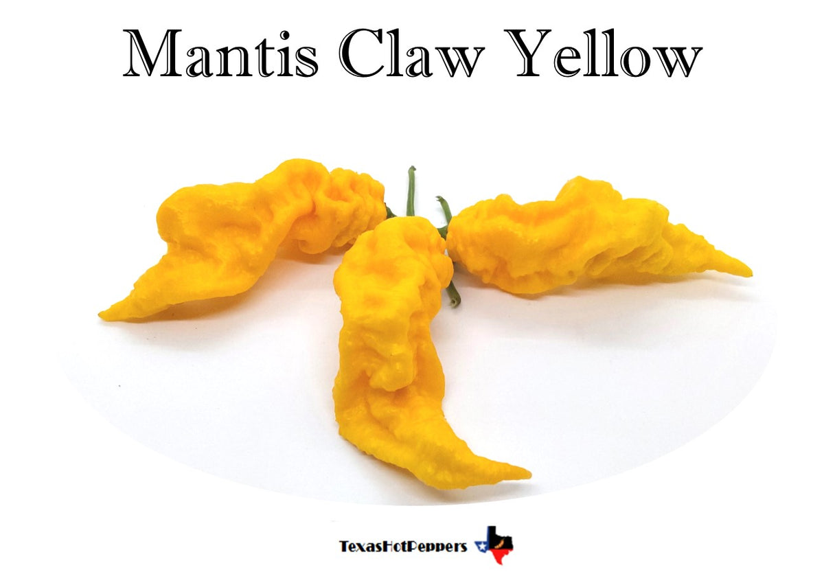 Mantis Claw Yellow – Texas Hot Peppers