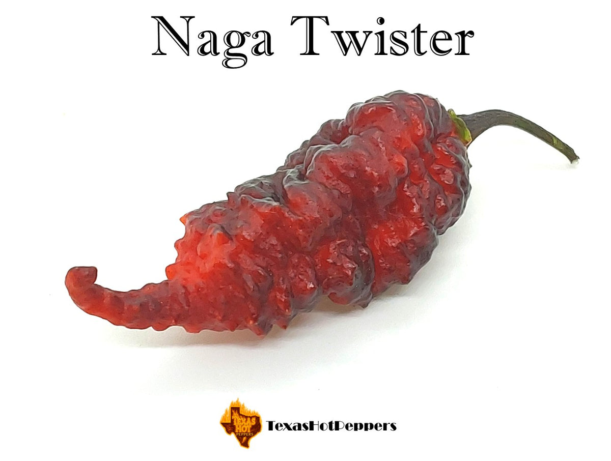 Naga Twister – Texas Hot Peppers