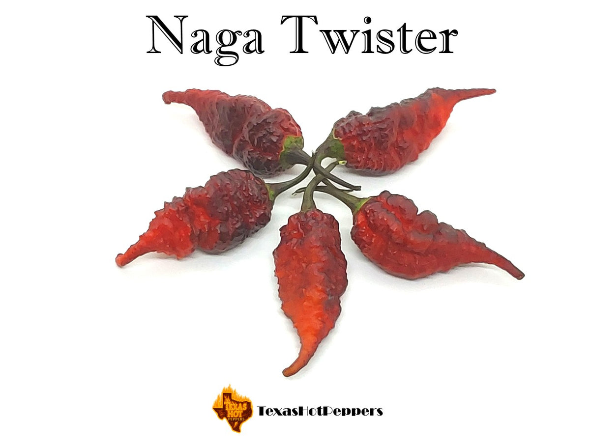 Naga Twister – Texas Hot Peppers