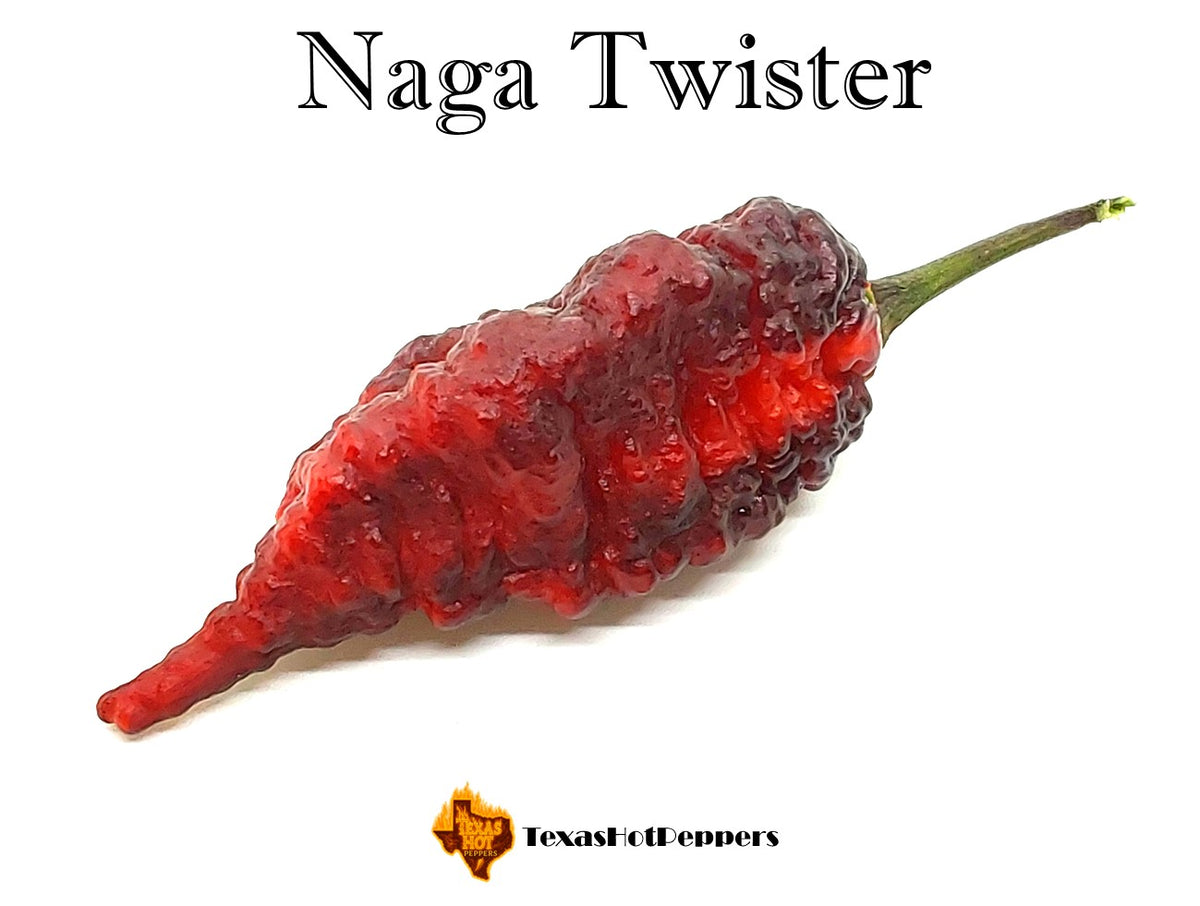 Naga Twister – Texas Hot Peppers