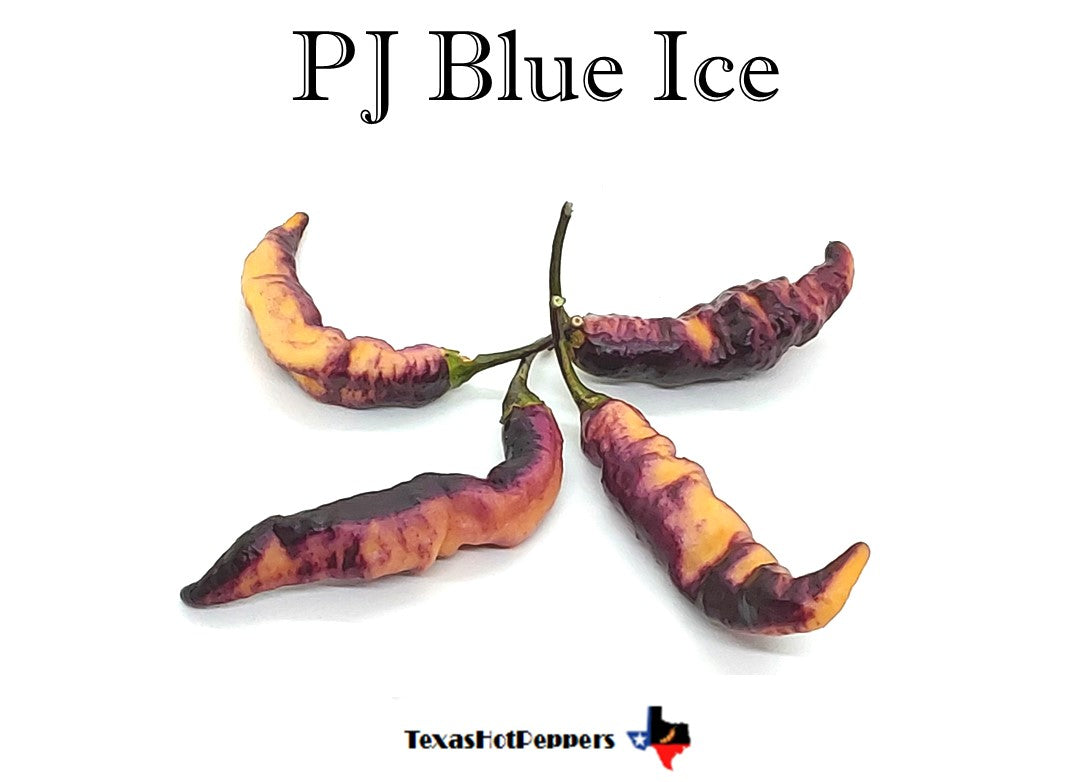 PJ Blue Ice – Texas Hot Peppers