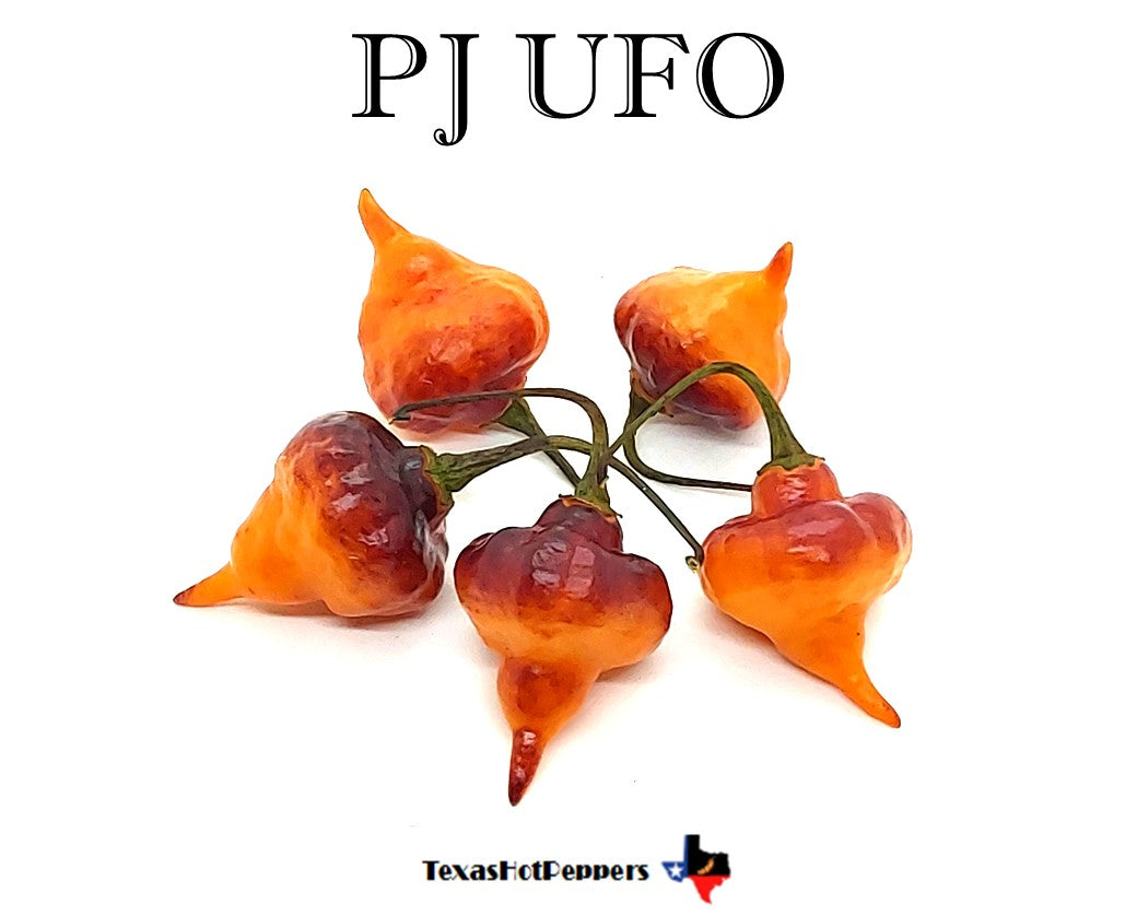 PJ UFO – Texas Hot Peppers