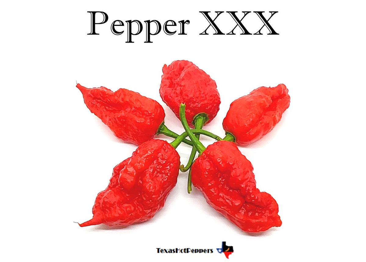 Pepper XXX – Texas Hot Peppers