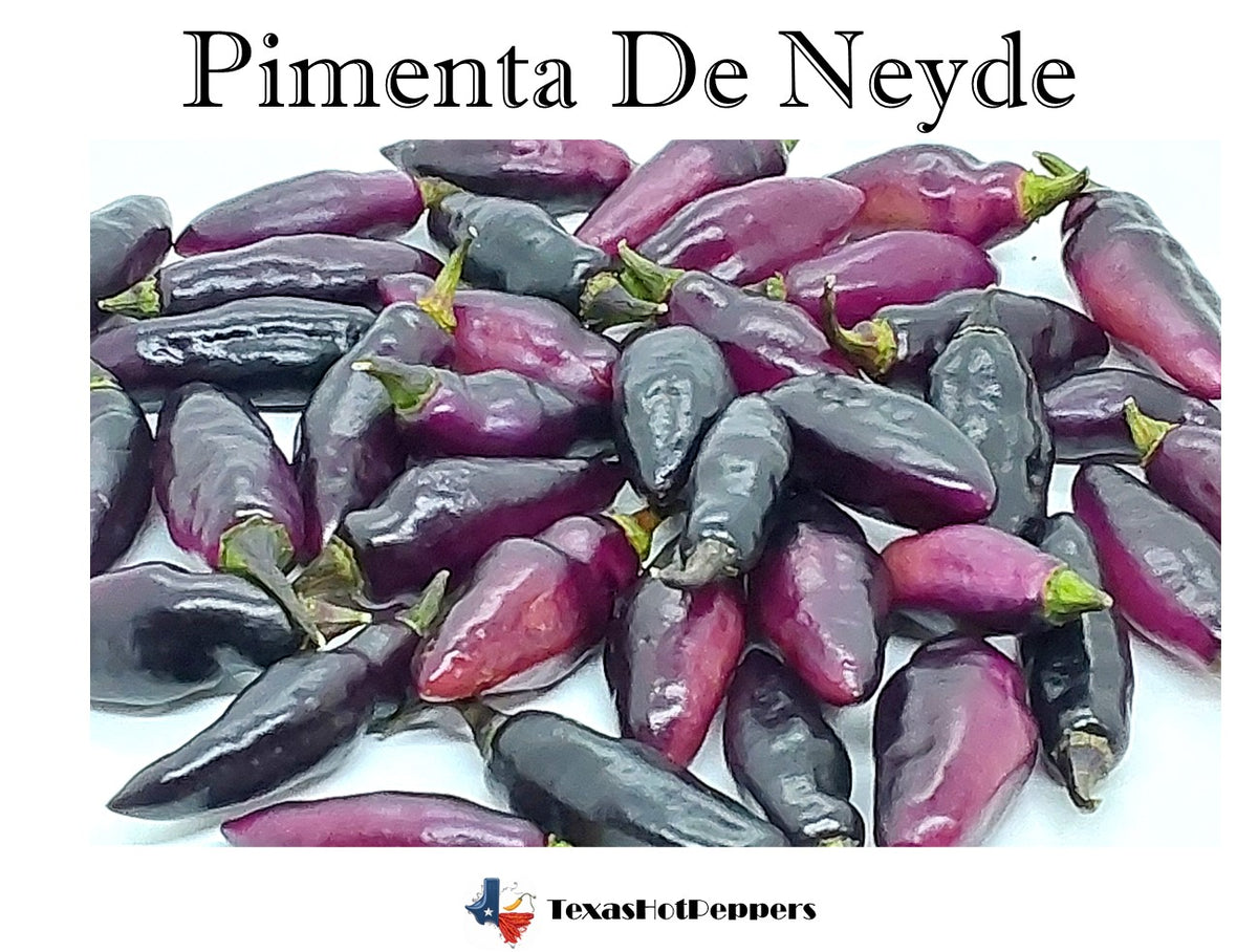 Pimenta De Neyde – Texas Hot Peppers
