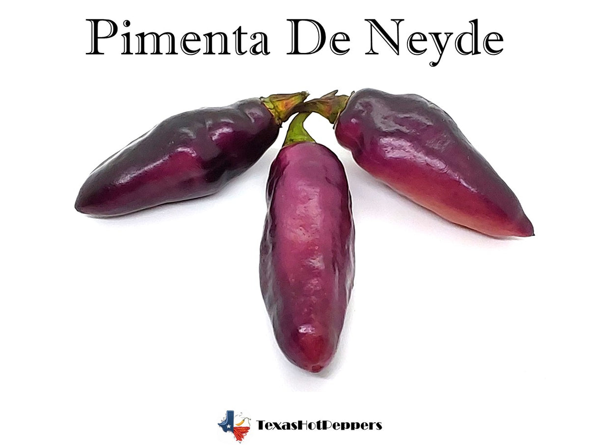 Pimenta De Neyde – Texas Hot Peppers