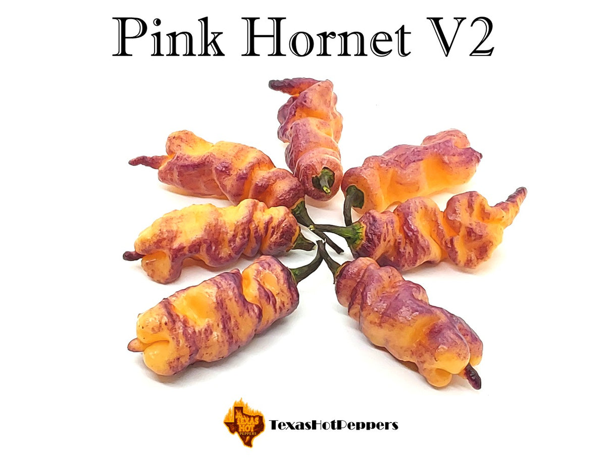 Pink Hornet V2 – Texas Hot Peppers