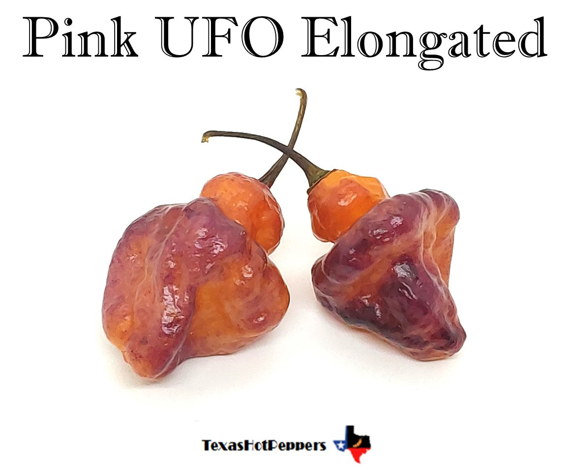 Pink UFO Elongated – Texas Hot Peppers