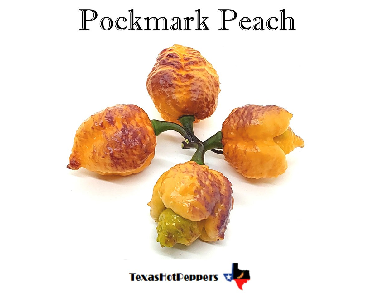 Pockmark Peach – Texas Hot Peppers