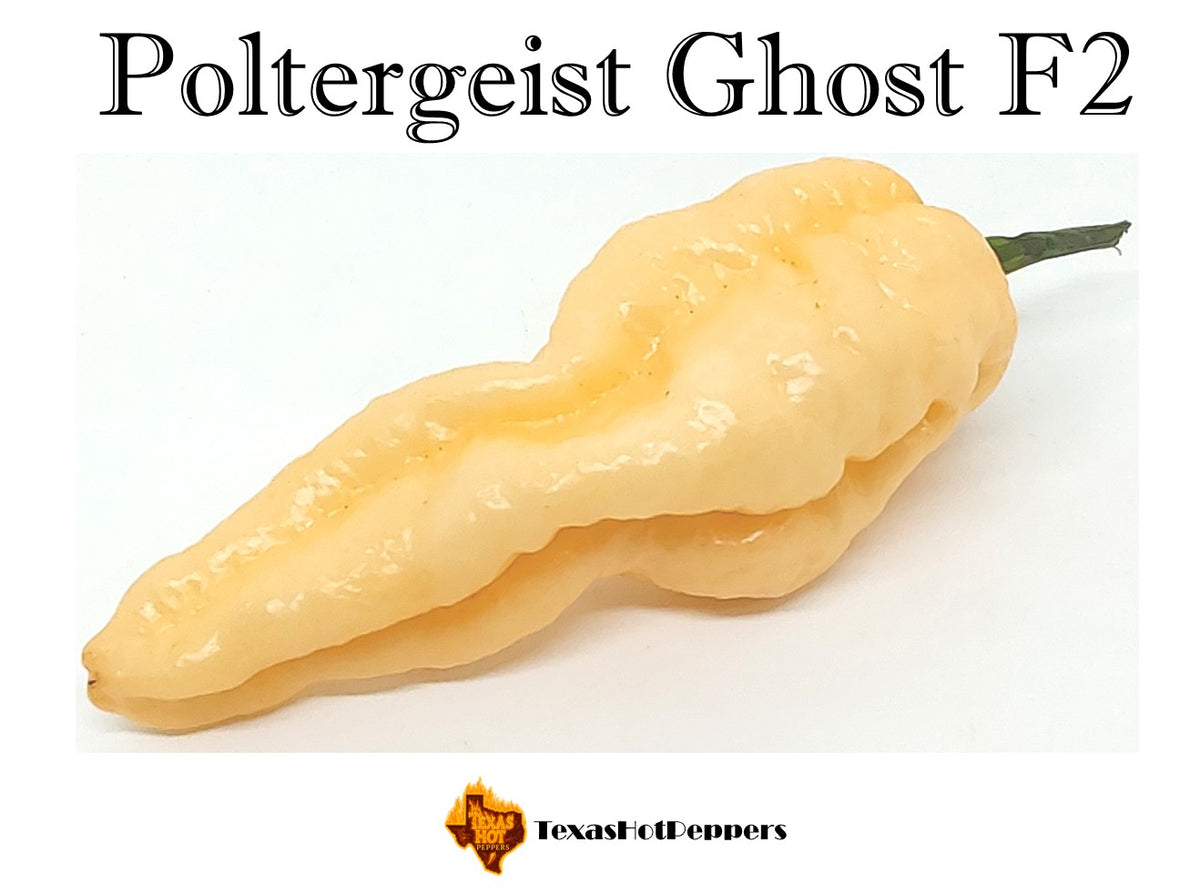 Poltergeist Ghost F2 – Texas Hot Peppers