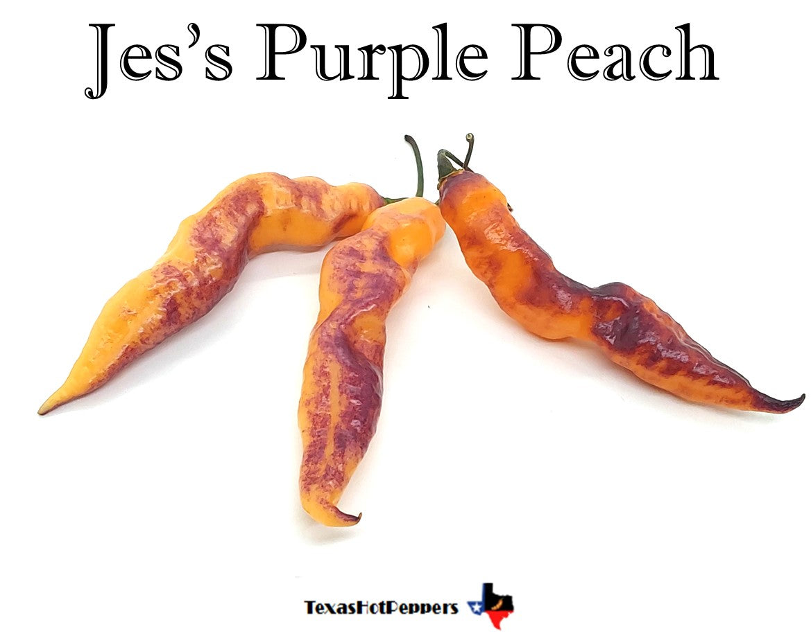 Jes's Purple Peach – Texas Hot Peppers