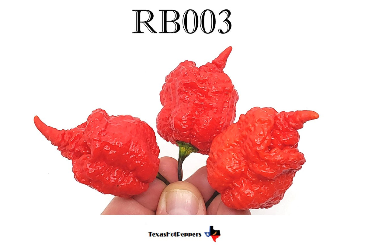 RB003 – Texas Hot Peppers