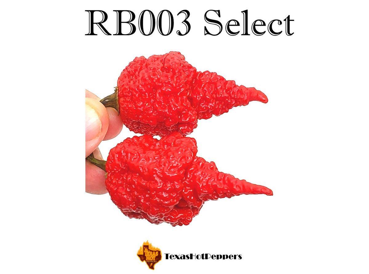 RB003 Select – Texas Hot Peppers