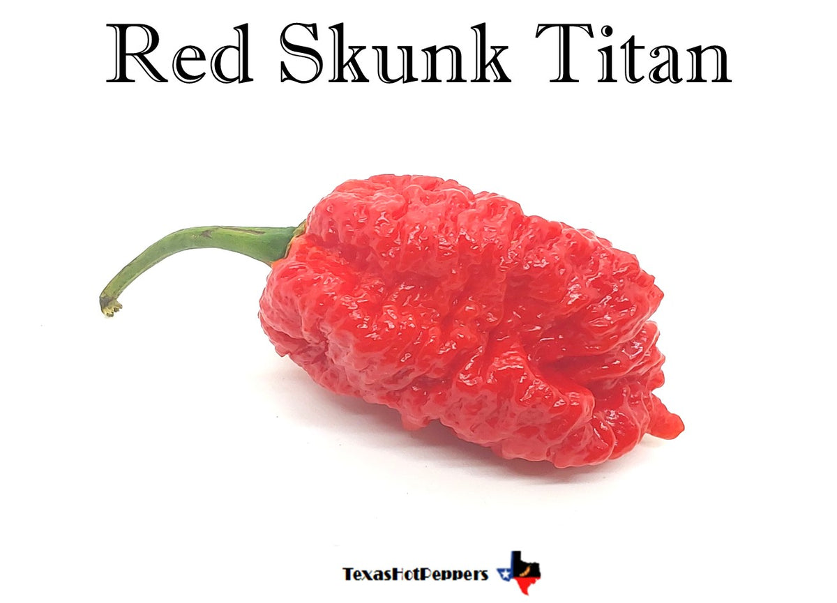 Red Skunk Titan – Texas Hot Peppers