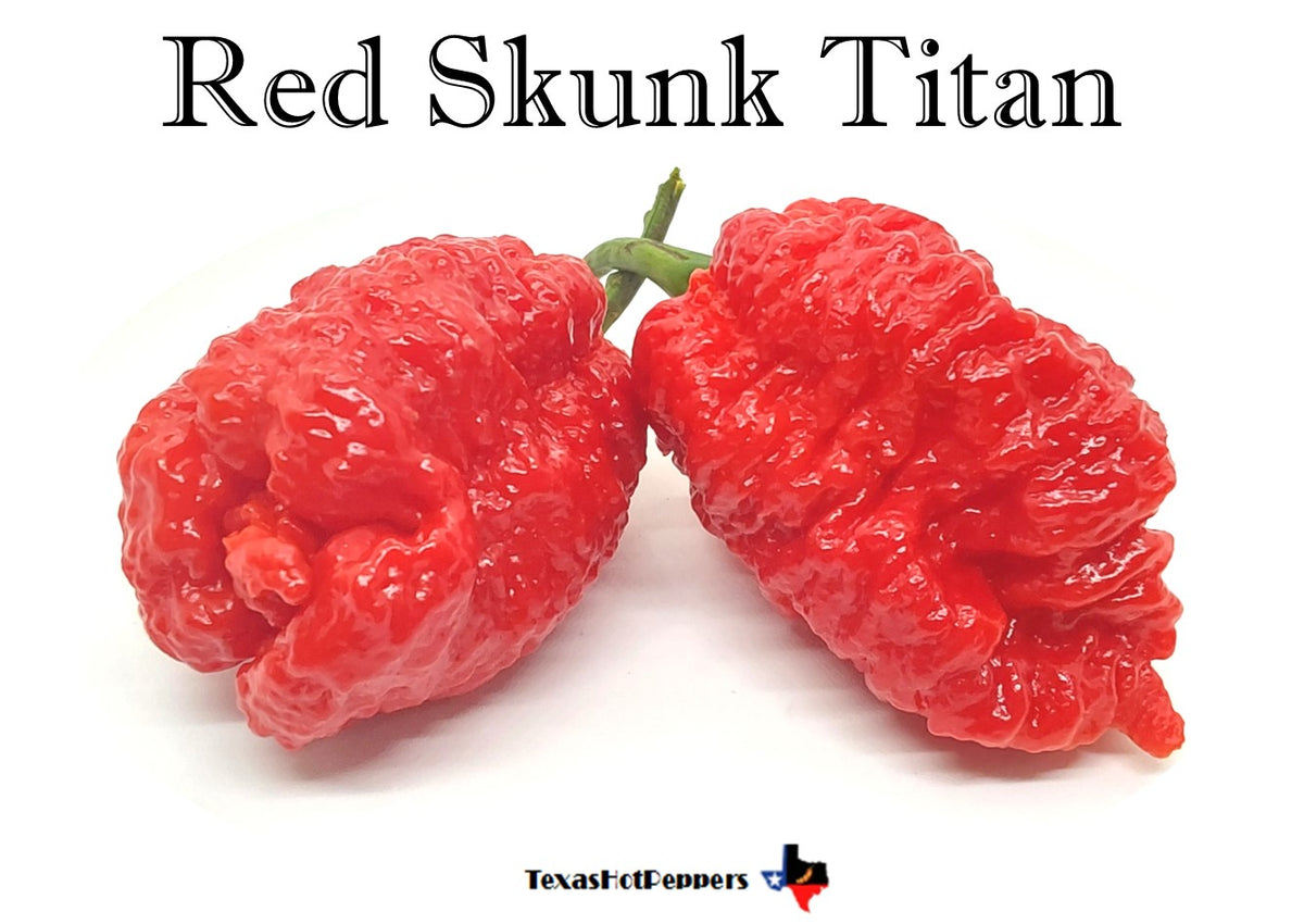 Red Skunk Titan – Texas Hot Peppers