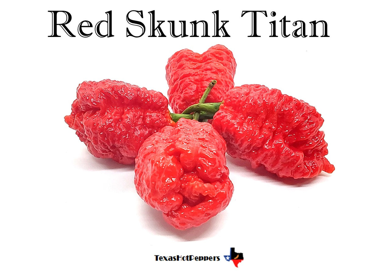 Red Skunk Titan – Texas Hot Peppers