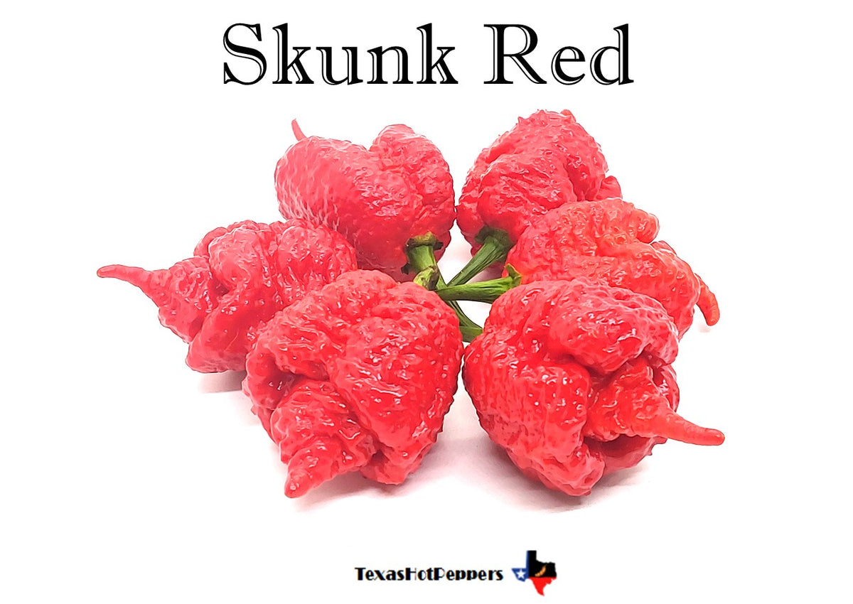 Skunk Red – Texas Hot Peppers