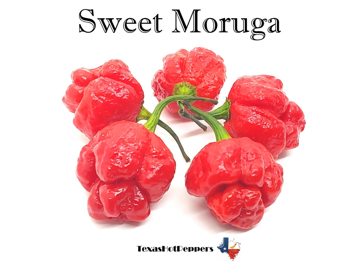Sweet Moruga – Texas Hot Peppers