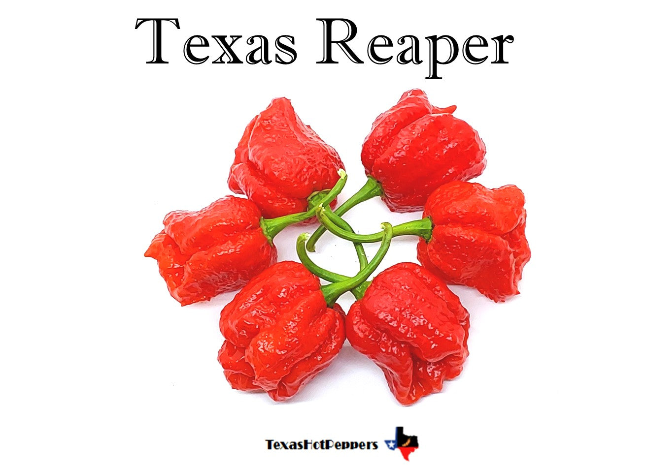 Texas Reaper – Texas Hot Peppers