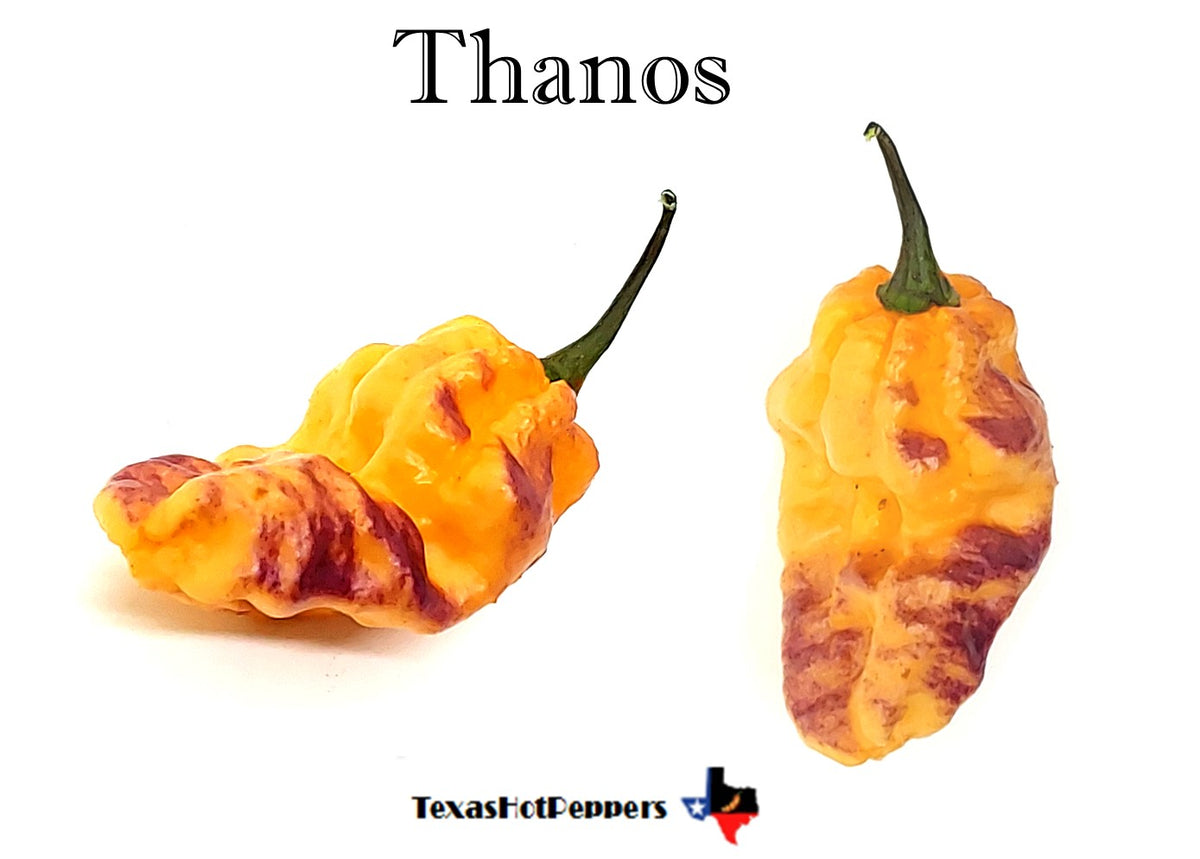 Thanos – Texas Hot Peppers