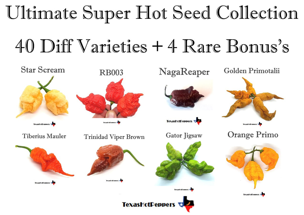 Ultimate Super Hot Seed Collection - 40 Diff Varieties + 4 Bonus ...